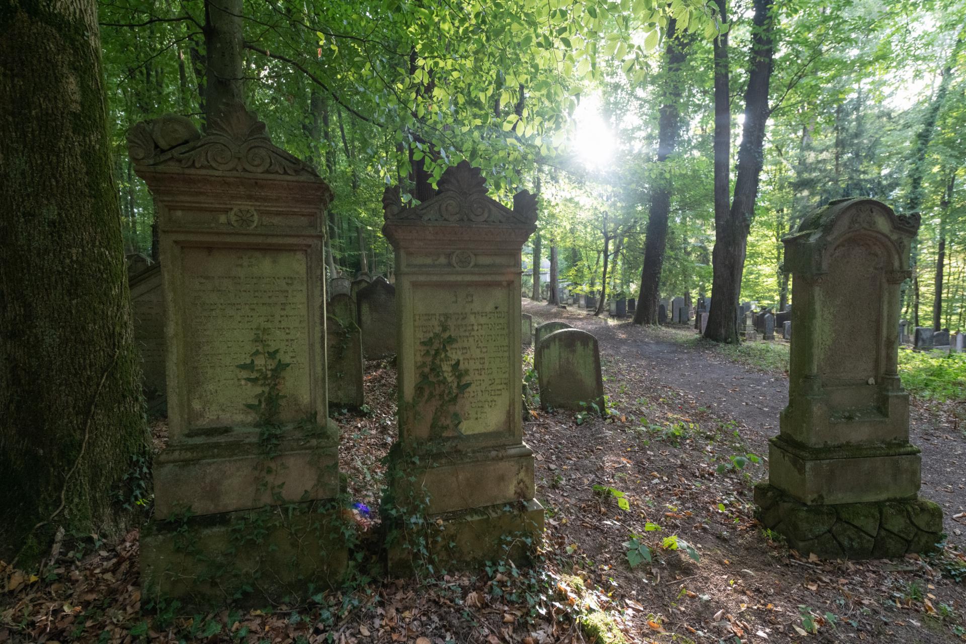 Sehenswürdigkeiten | Waibstadt