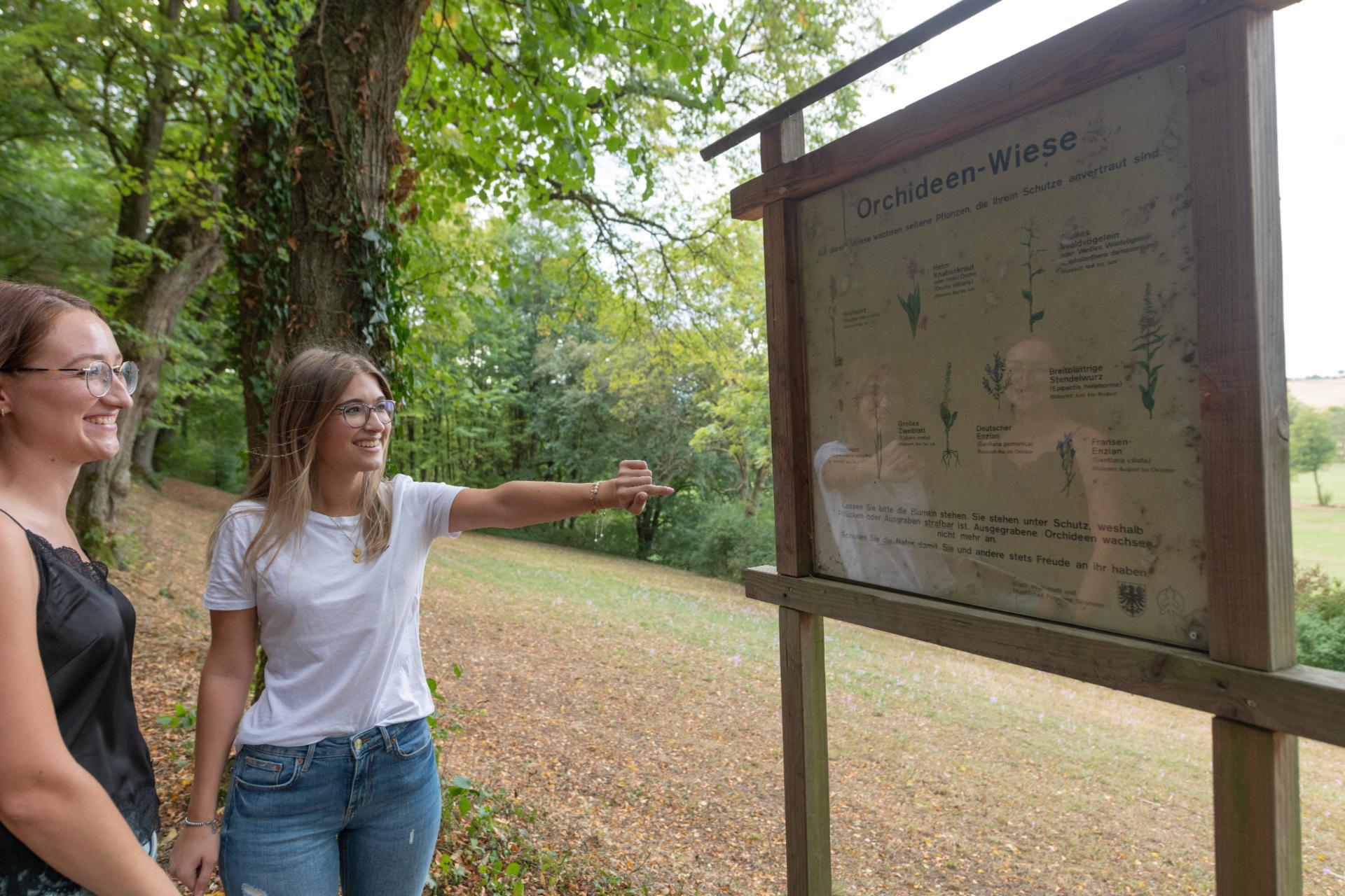 Sehenswürdigkeiten | Waibstadt
